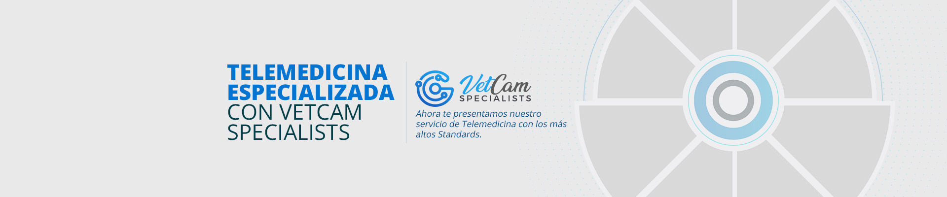 VetCam Educación Para Medicos Veterinarios – Diplomados, Cursos ...