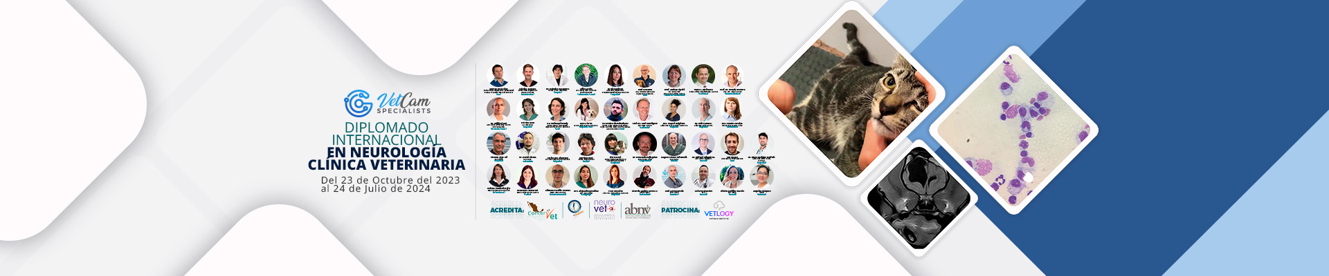 VetCam Educación Para Medicos Veterinarios – Diplomados, Cursos ...