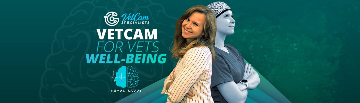 Educación para Médicos Veterinarios America Latina Y Europa – VetCam ...