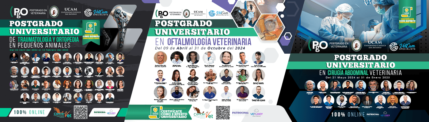 VetCam Educación Para Medicos Veterinarios – Diplomados, Cursos ...