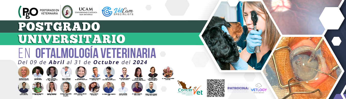 VetCam Educación Para Medicos Veterinarios – Diplomados, Cursos ...