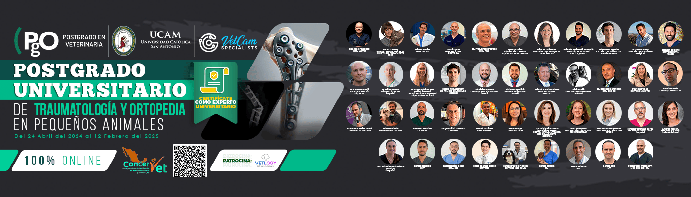 VetCam Educación Para Medicos Veterinarios – Diplomados, Cursos ...