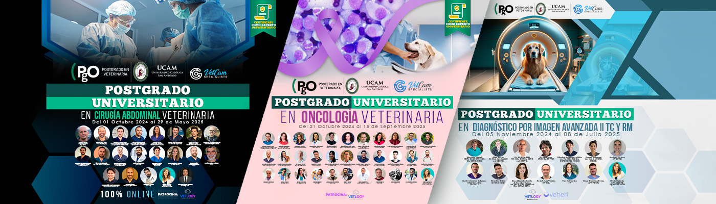 VetCam – Educación para Médicos Veterinarios – Posgrados, Talleres ...