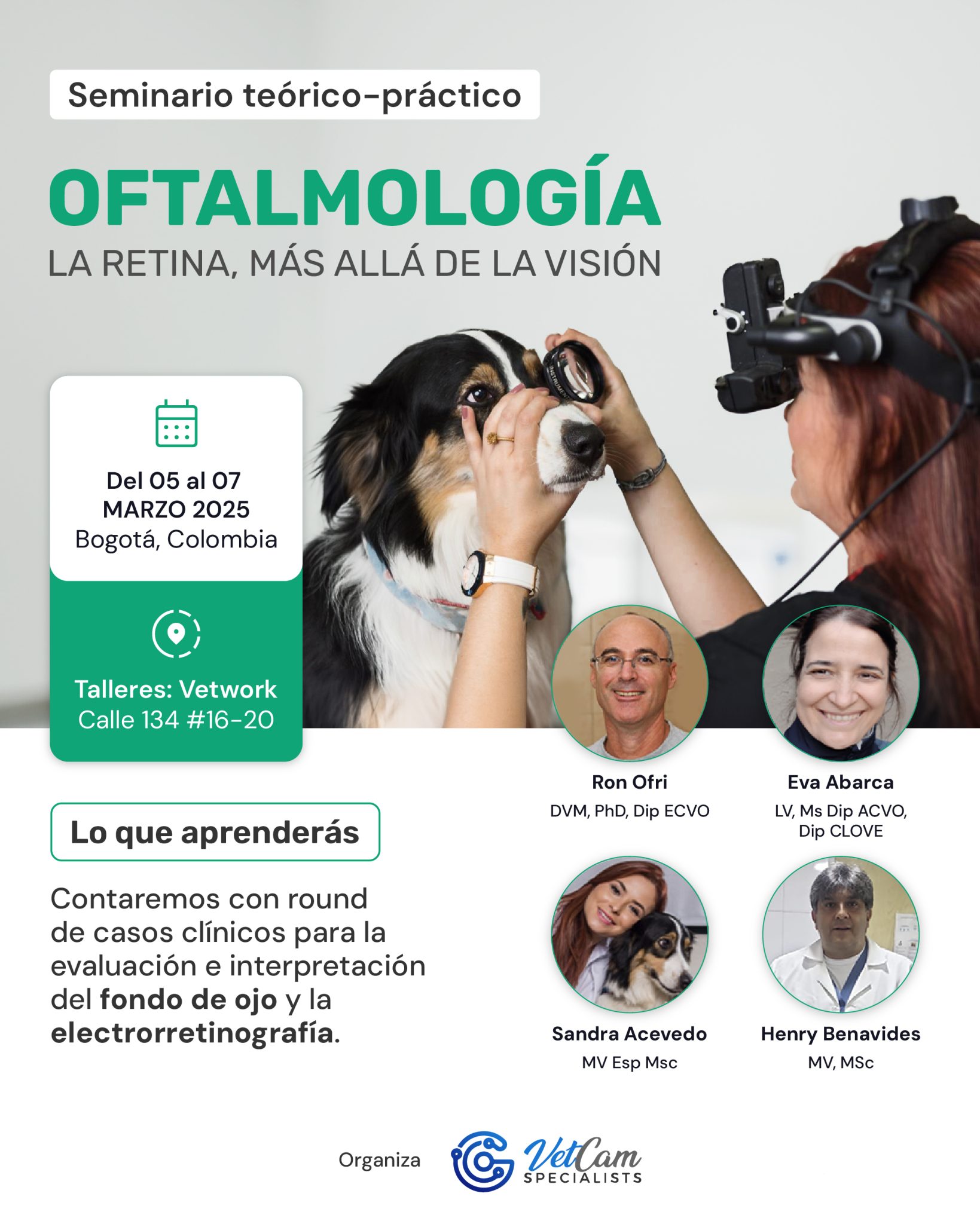 Educación para Médicos Veterinarios America Latina Y Europa – VetCam ...