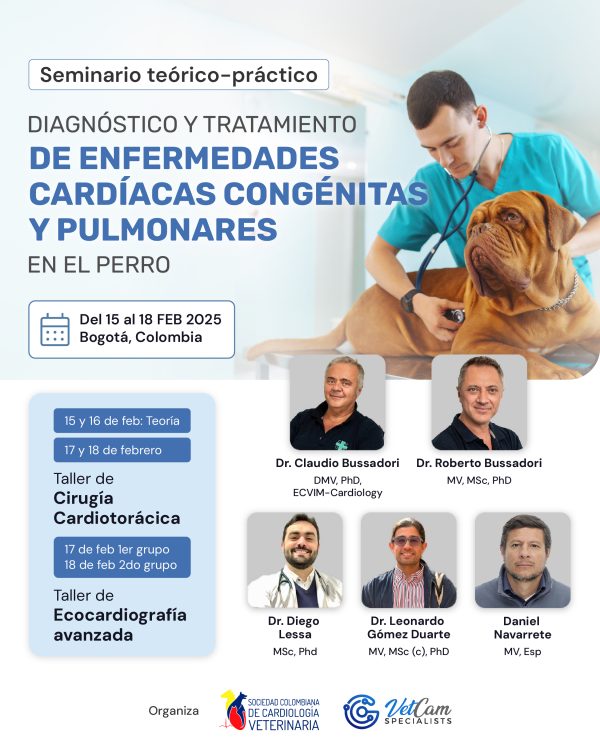 Educación para Médicos Veterinarios America Latina Y Europa – VetCam ...