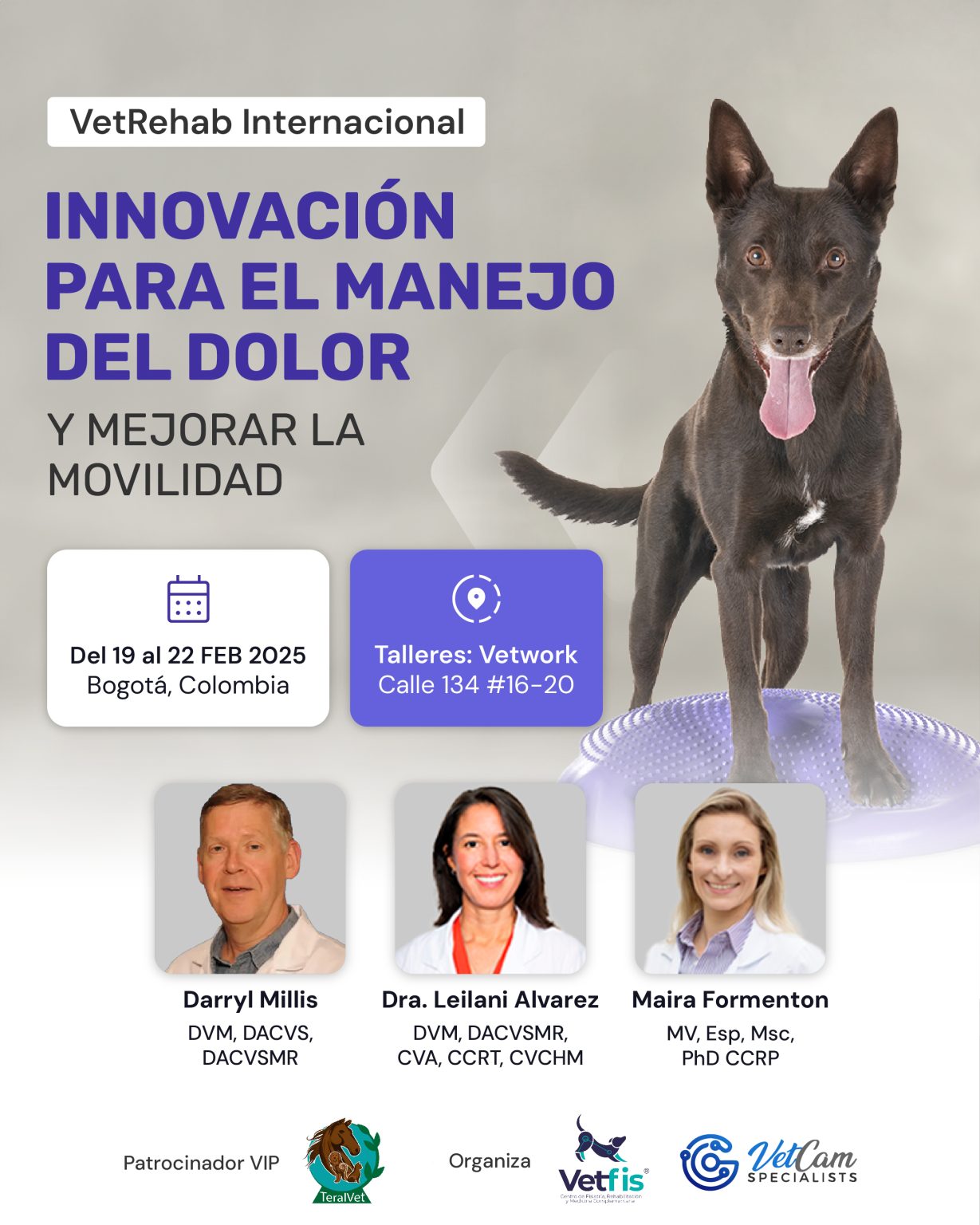 Educación para Médicos Veterinarios America Latina Y Europa – VetCam ...