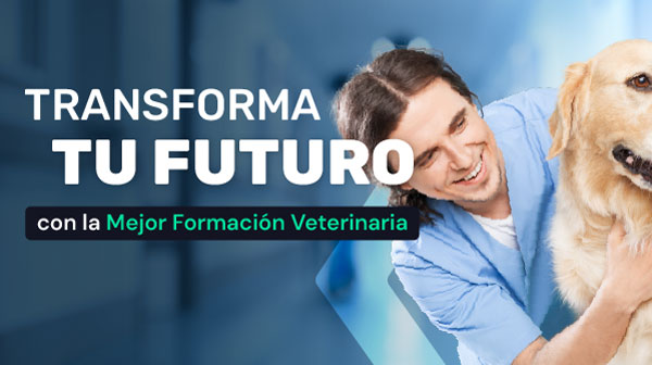 Educación para Médicos Veterinarios America Latina Y Europa – VetCam ...